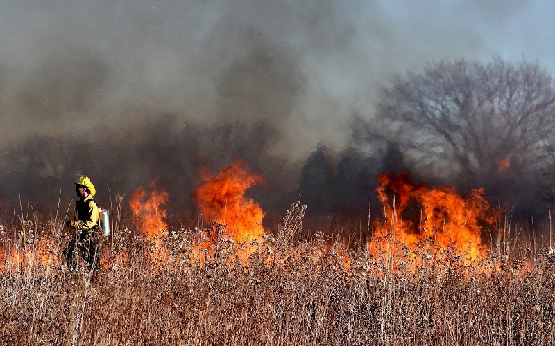 Grants available for rural fire company wildfire protection – Connect ...