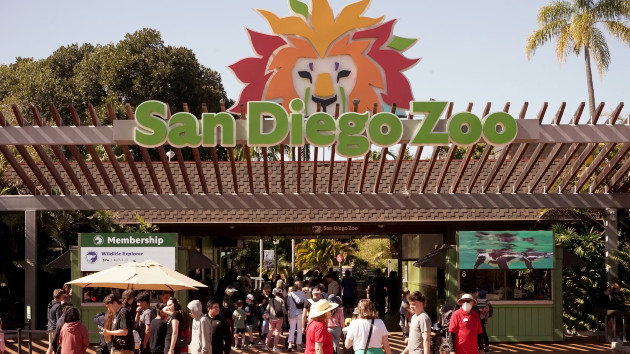 Two giant pandas from China to arrive at San Diego Zoo under conservation partnership – Connect ...